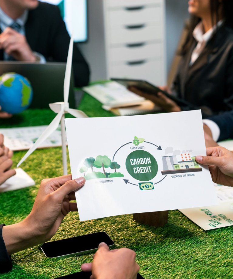 ESG Consulting Services - Regner Consultation